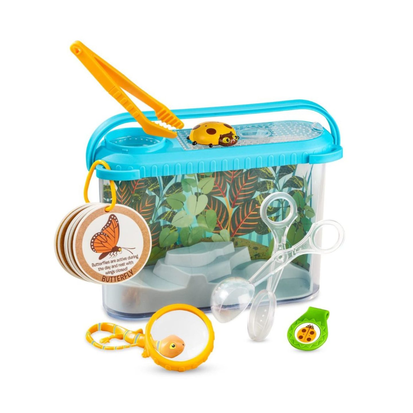 Melissa & Doug Terrarium Observations Play Set | Melissa And Doug Toys